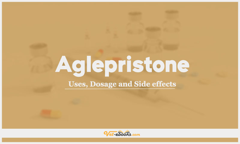 Aglepristone Dose For Dogs, Cats & Animals | Vet Drugs List