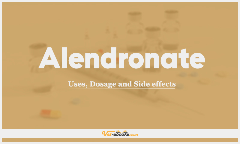 Alendronate Dose For Dogs & Cats | Vet Drugs List