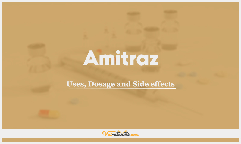 Amitraz Dose For Dogs & Cats | Vet Drugs List