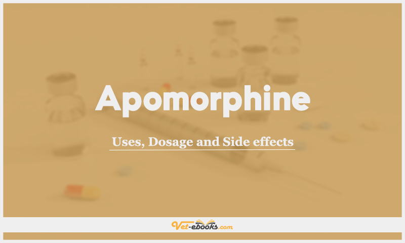 Apomorphine Dose For Dogs | Vet Drugs List