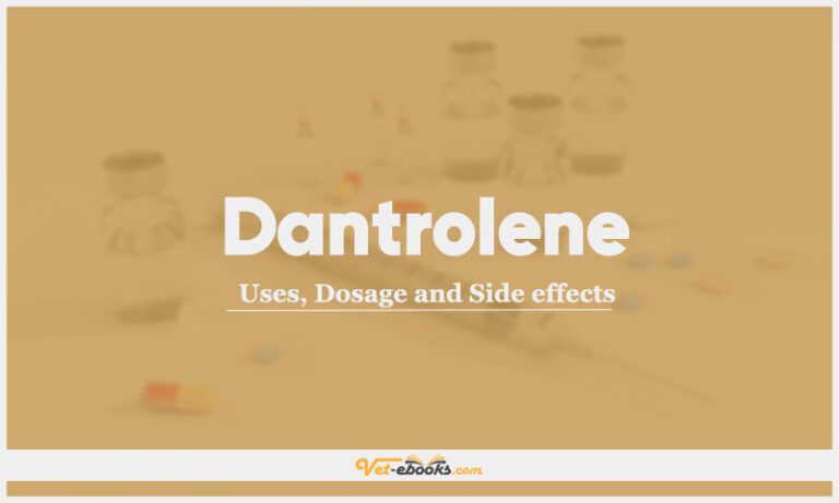 Dantrolene Dose For Dogs & Cats | Vet Drugs List