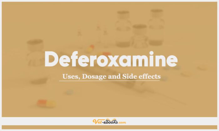 Deferoxamine Dose For Dogs & Cats | Vet Drugs List
