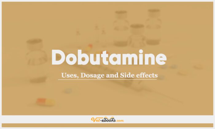 Dobutamine Dose For Dogs & Cats | Vet Drugs List