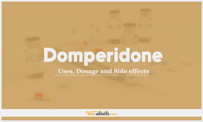 Domperidone Dose For Dogs & Cats | Vet Drugs List