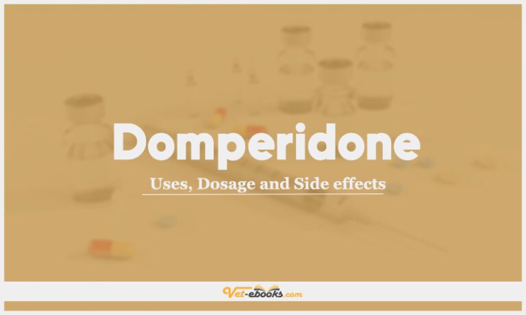 Domperidone Dose For Dogs & Cats | Vet Drugs List