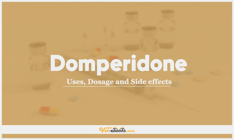 Domperidone Dose For Dogs & Cats | Vet Drugs List
