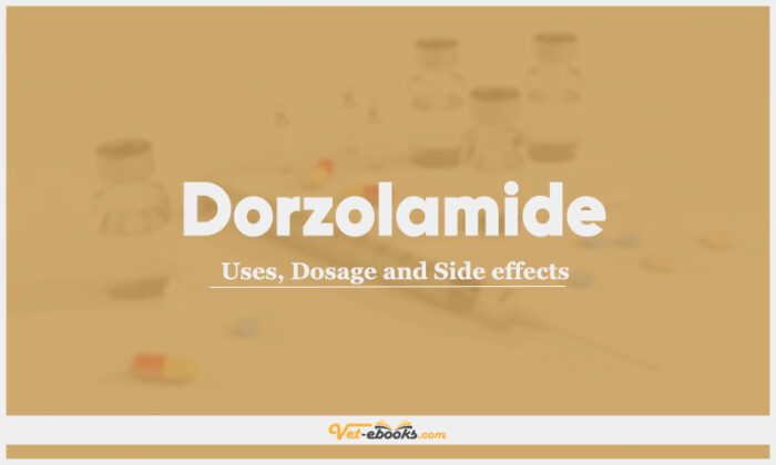 Dorzolamide Dose For Dogs & Cats | Vet Drugs List