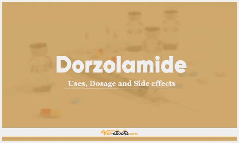 Dorzolamide Dose For Dogs & Cats | Vet Drugs List
