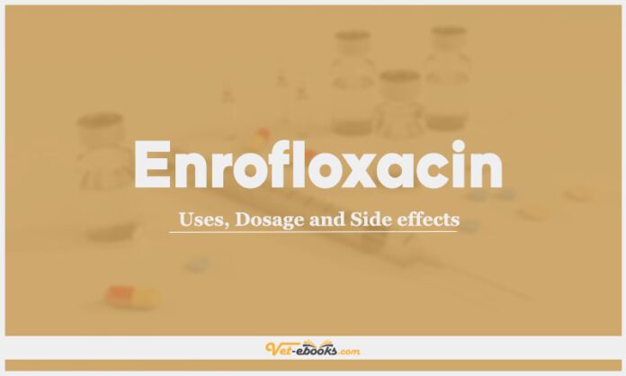 Enrofloxacin Dose For Dogs & Cats | Vet Drugs List