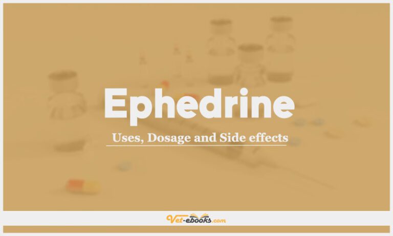 Ephedrine Dose For Dogs & Cats | Vet Drugs List