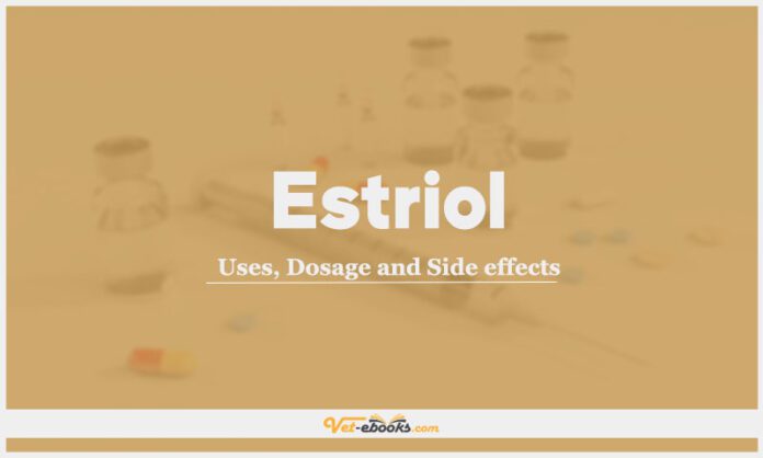 Estriol (Oestriol) Dose For Dogs & Cats | Vet Drugs List