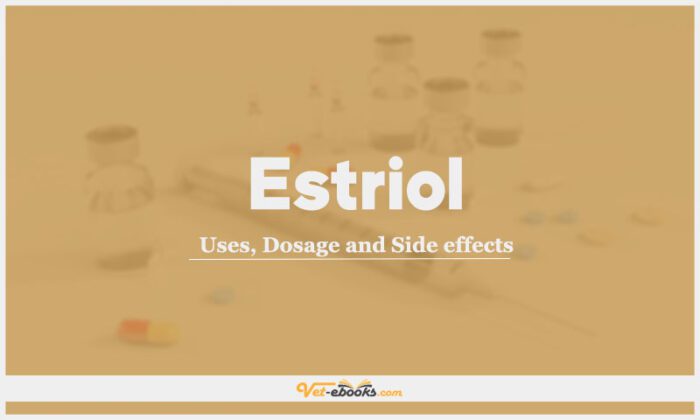 Estriol (Oestriol) Dose For Dogs & Cats | Vet Drugs List