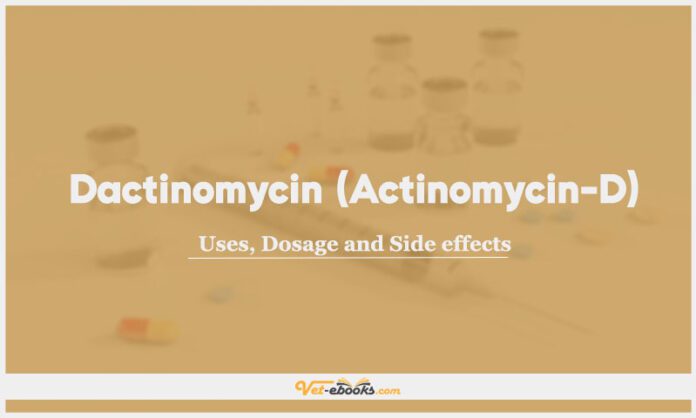 Dactinomycin (Actinomycin-D) Dose For Dogs & Cats | Vet Drugs List