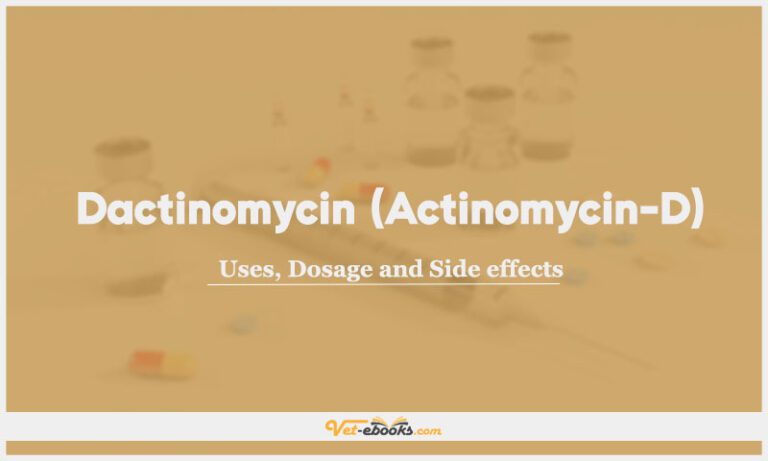 Dactinomycin (Actinomycin-D) Dose For Dogs & Cats | Vet Drugs List