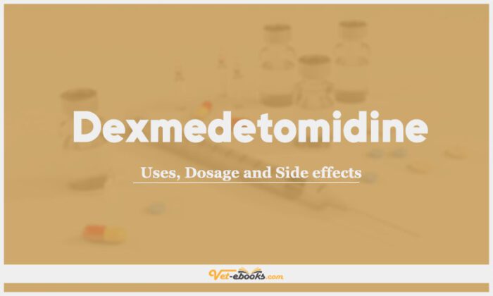 Dexmedetomidine Dose For Dogs & Cats | Vet Drugs List