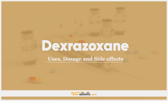 Dexrazoxane Dose For Dogs & Cats | Vet Drugs List