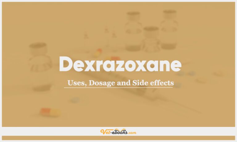 Dexrazoxane Dose For Dogs & Cats | Vet Drugs List