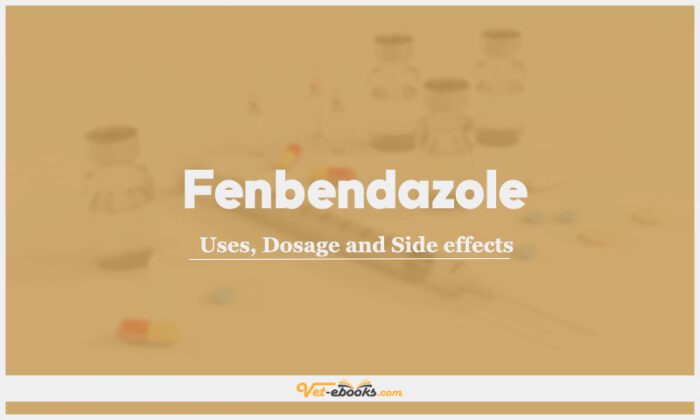 Fenbendazole Dose For Dogs & Cats | Vet Drugs List