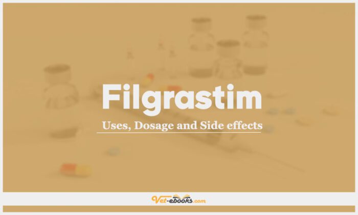 Filgrastim Dose For Dogs & Cats | Vet Drugs List