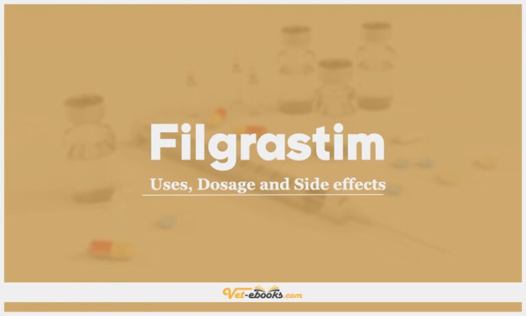 Filgrastim Dose For Dogs & Cats | Vet Drugs List