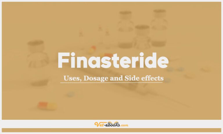 Finasteride Dose For Dogs & Cats | Vet Drugs List