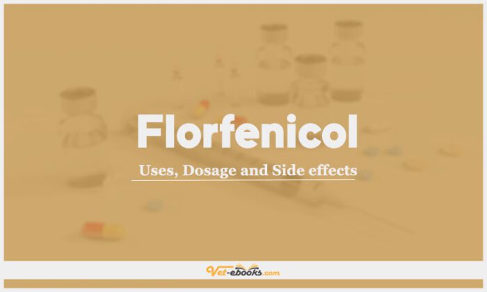 Florfenicol Dose For Dogs & Cats | Vet Drugs List