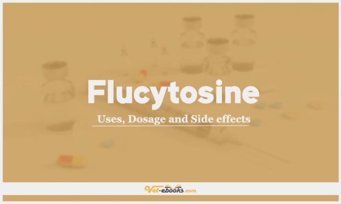 Flucytosine Dose For Dogs & Cats | Vet Drugs List