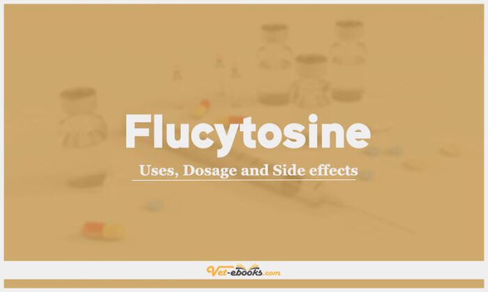 Flucytosine Dose For Dogs & Cats | Vet Drugs List