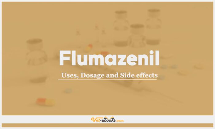 Flumazenil Dose For Dogs & Cats | Vet Drugs List