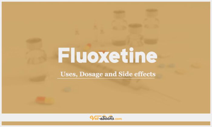 Fluoxetine Dose For Dogs & Cats | Vet Drugs List
