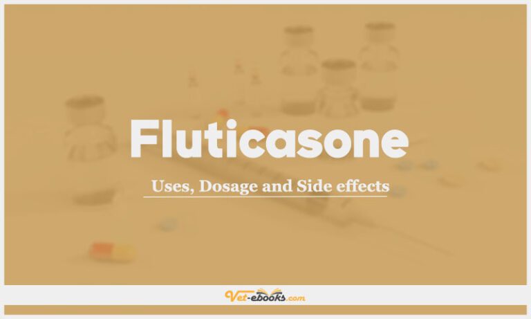 Fluticasone Dose For Dogs & Cats | Vet Drugs List
