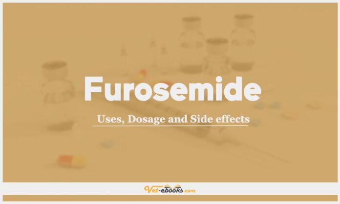 Furosemide Dose For Dogs & Cats | Vet Drugs List