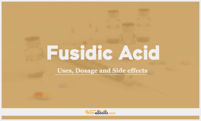 Fusidic acid Dose For Dogs & Cats | Vet Drugs List