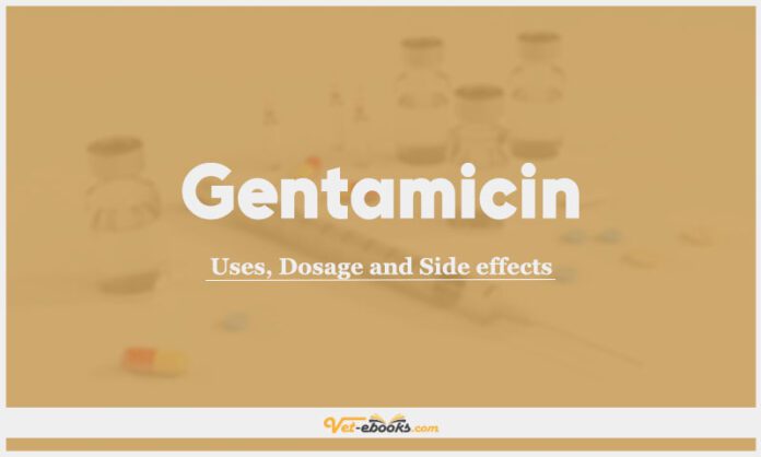 Gentamicin Dose For Dogs & Cats | Vet Drugs List