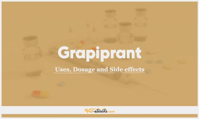 Grapiprant Dose For Dogs & Cats | Vet Drugs List