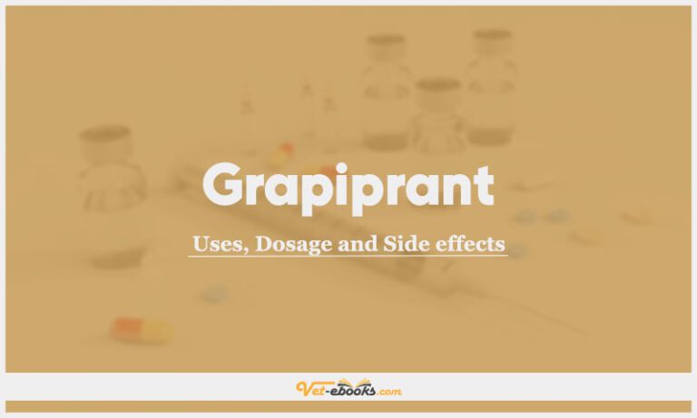 Grapiprant Dose For Dogs & Cats | Vet Drugs List