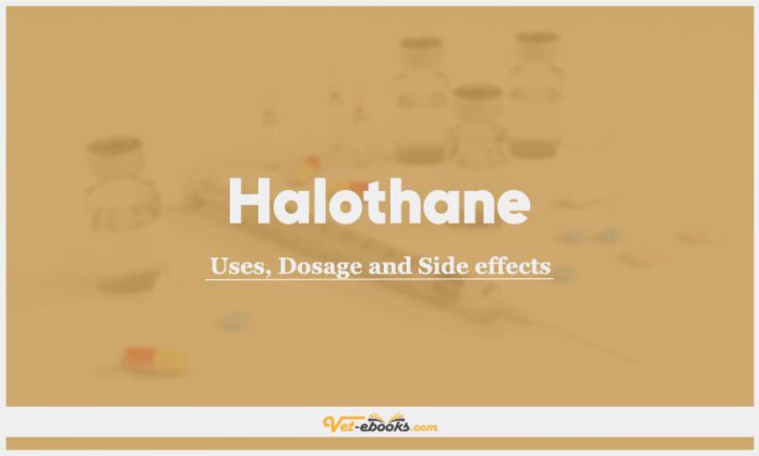 Halothane Dose For Dogs & Cats | Vet Drugs List