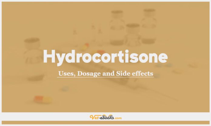 Hydrocortisone Dose For Dogs & Cats | Vet Drugs List