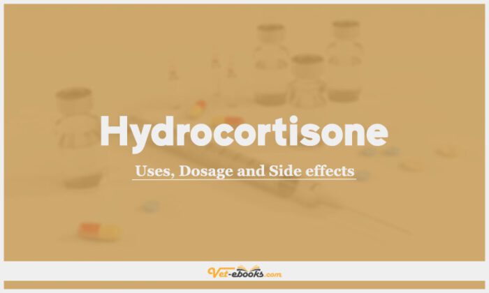 Hydrocortisone Dose For Dogs & Cats | Vet Drugs List