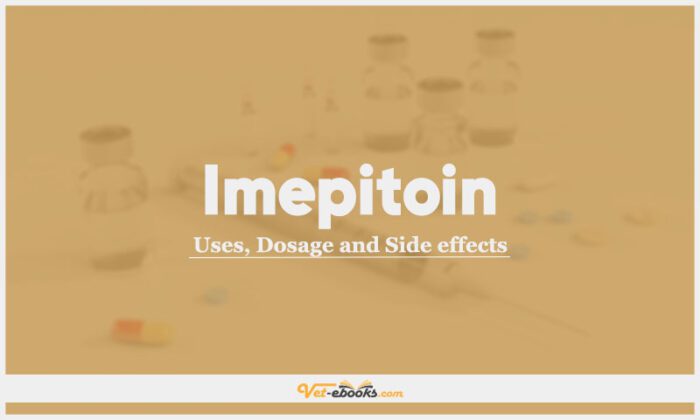 Imepitoin Dose For Dogs & Cats | Vet Drugs List