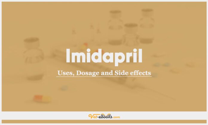 Imidapril Dose For Dogs & Cats | Vet Drugs List