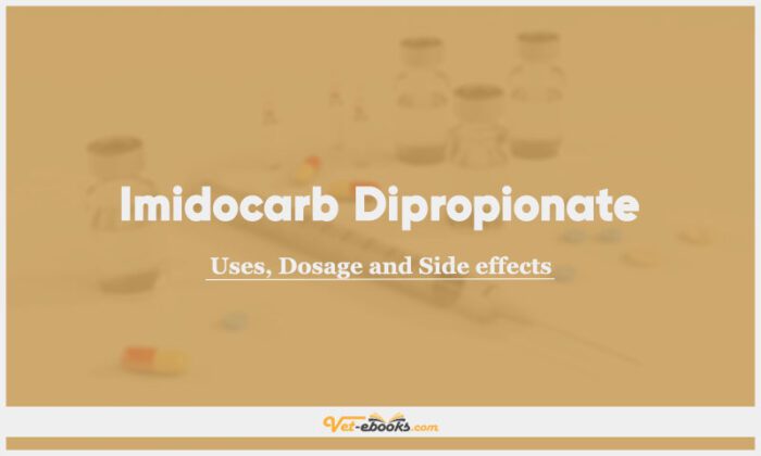 Imidocarb Dipropionate Dose For Dogs & Cats | Vet Drugs List