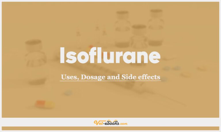 Isoflurane Dose For Dogs & Cats | Vet Drugs List