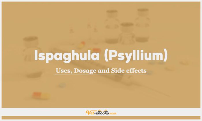Ispaghula (Psyllium) Dose For Dogs & Cats | Vet Drugs List