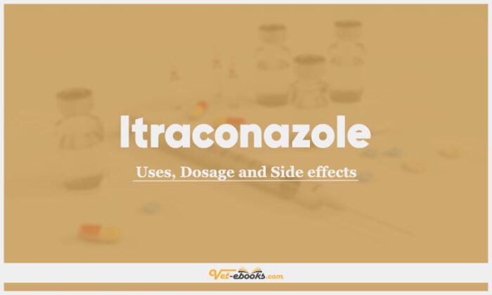 Itraconazole Dose For Dogs & Cats | Vet Drugs List