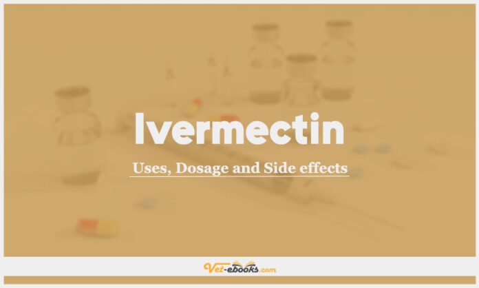 Ivermectin Dose For Dogs & Cats | Vet Drugs List