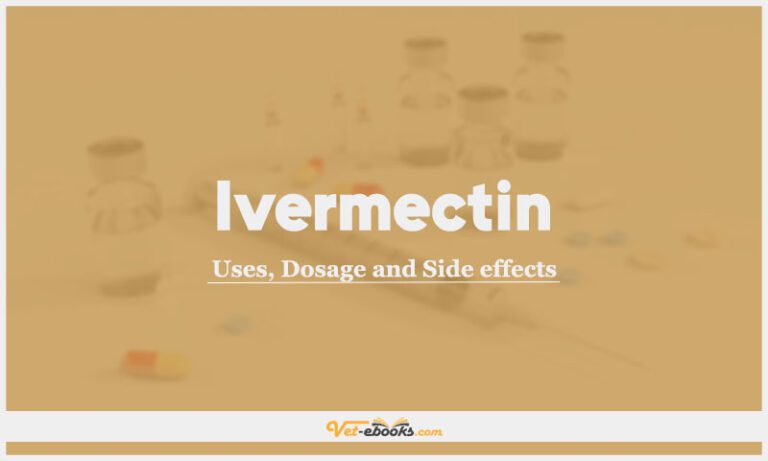 Ivermectin Dose For Dogs & Cats | Vet Drugs List