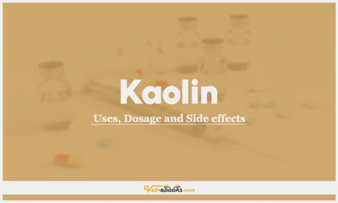 Kaolin Dose For Dogs & Cats | Vet Drugs List