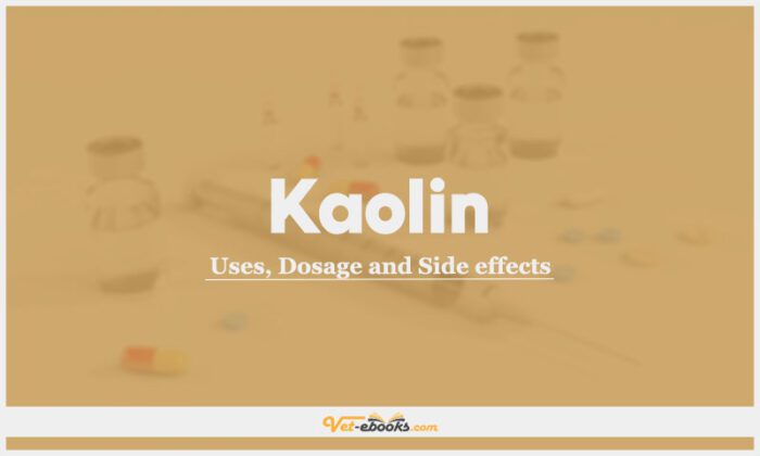 Kaolin Dose For Dogs & Cats | Vet Drugs List
