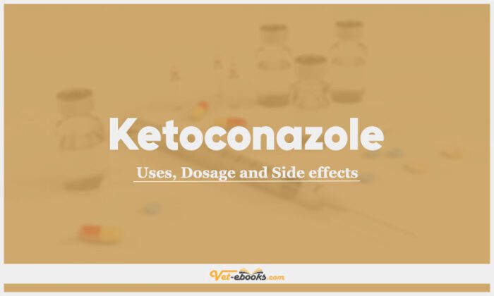 Ketoconazole Dose For Dogs & Cats | Vet Drugs List